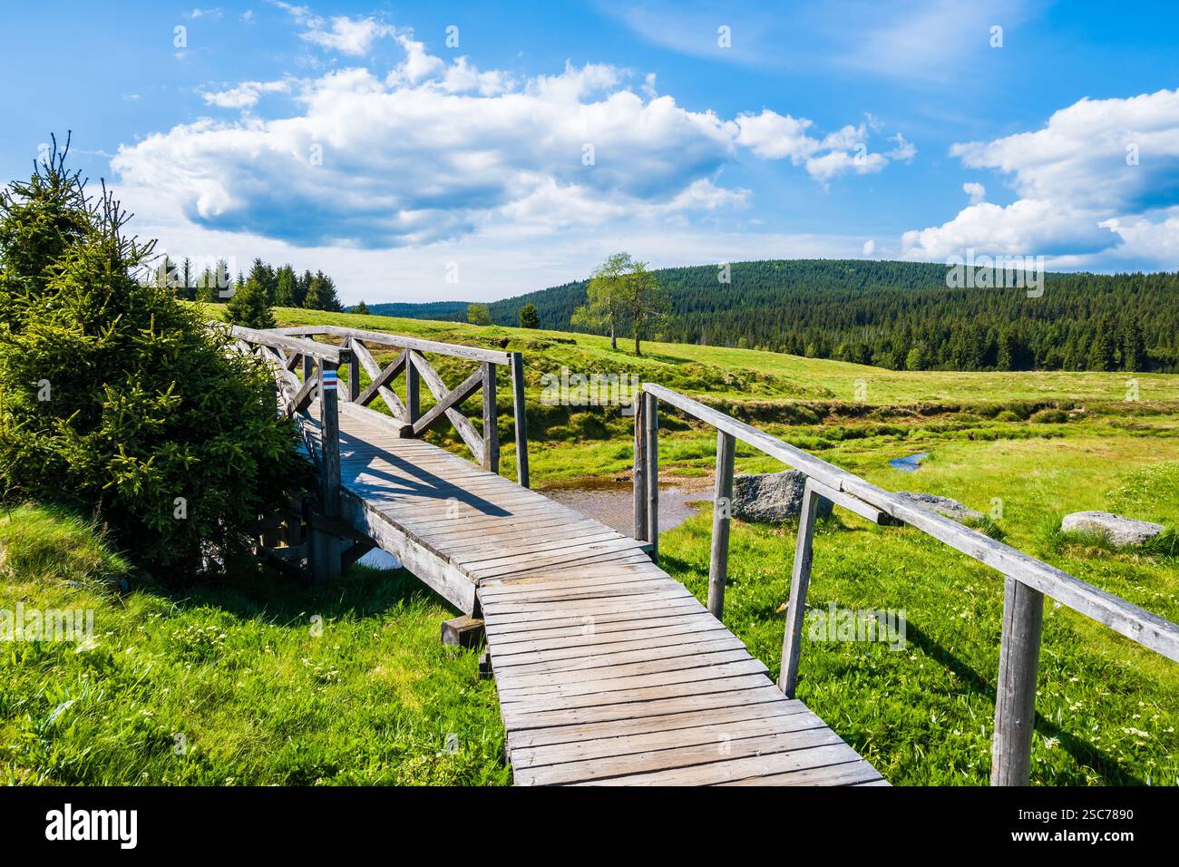 Wooden bridge over Izera river and green meadows with spruce trees on ...
