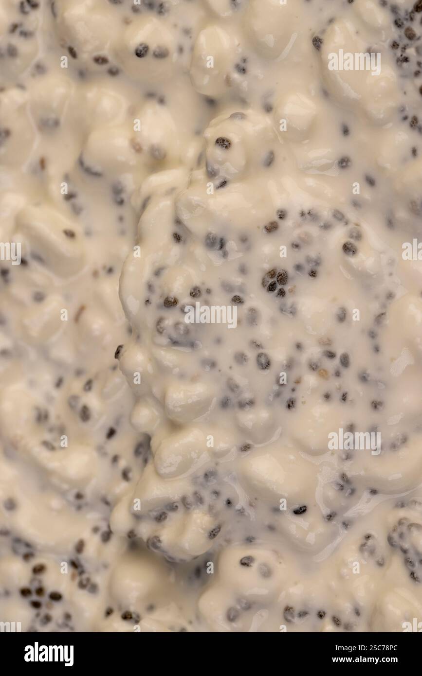 cottage cheese made from lumps with cream and chia seeds close-up ...