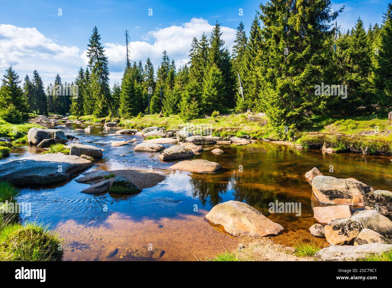 Jizerka river and green meadows with spruce trees in Jizerka village on ...