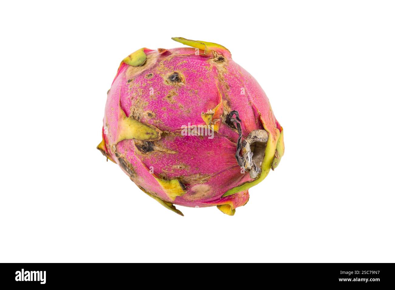 Rotten dragon fruit isolated on white background Stock Photo - Alamy