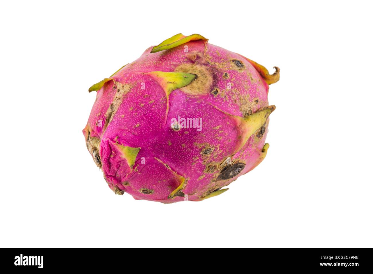 Rotten dragon fruit isolated on white background Stock Photo - Alamy