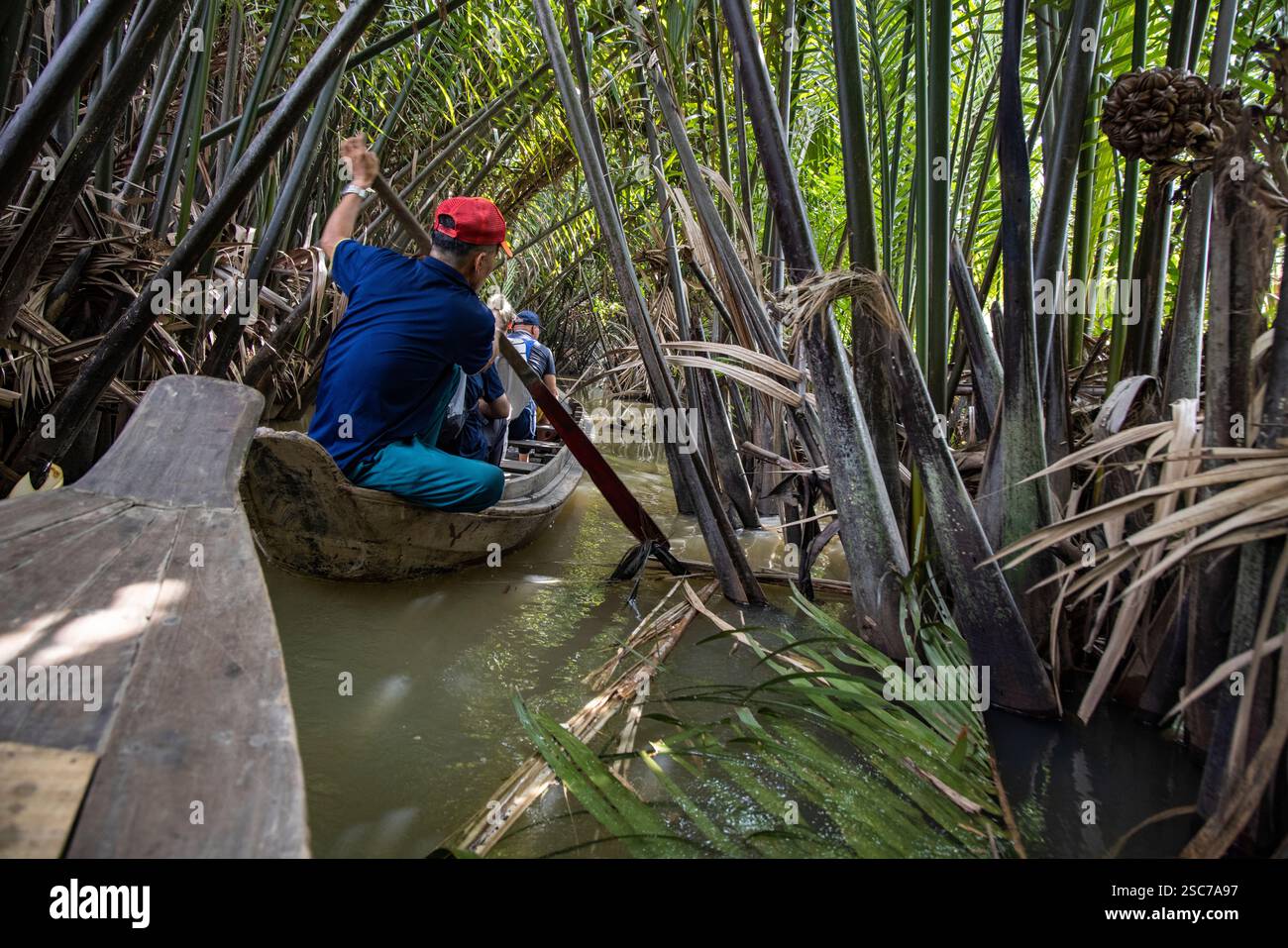 Excursion with a sampan boat through coconut trees and jungle on a ...