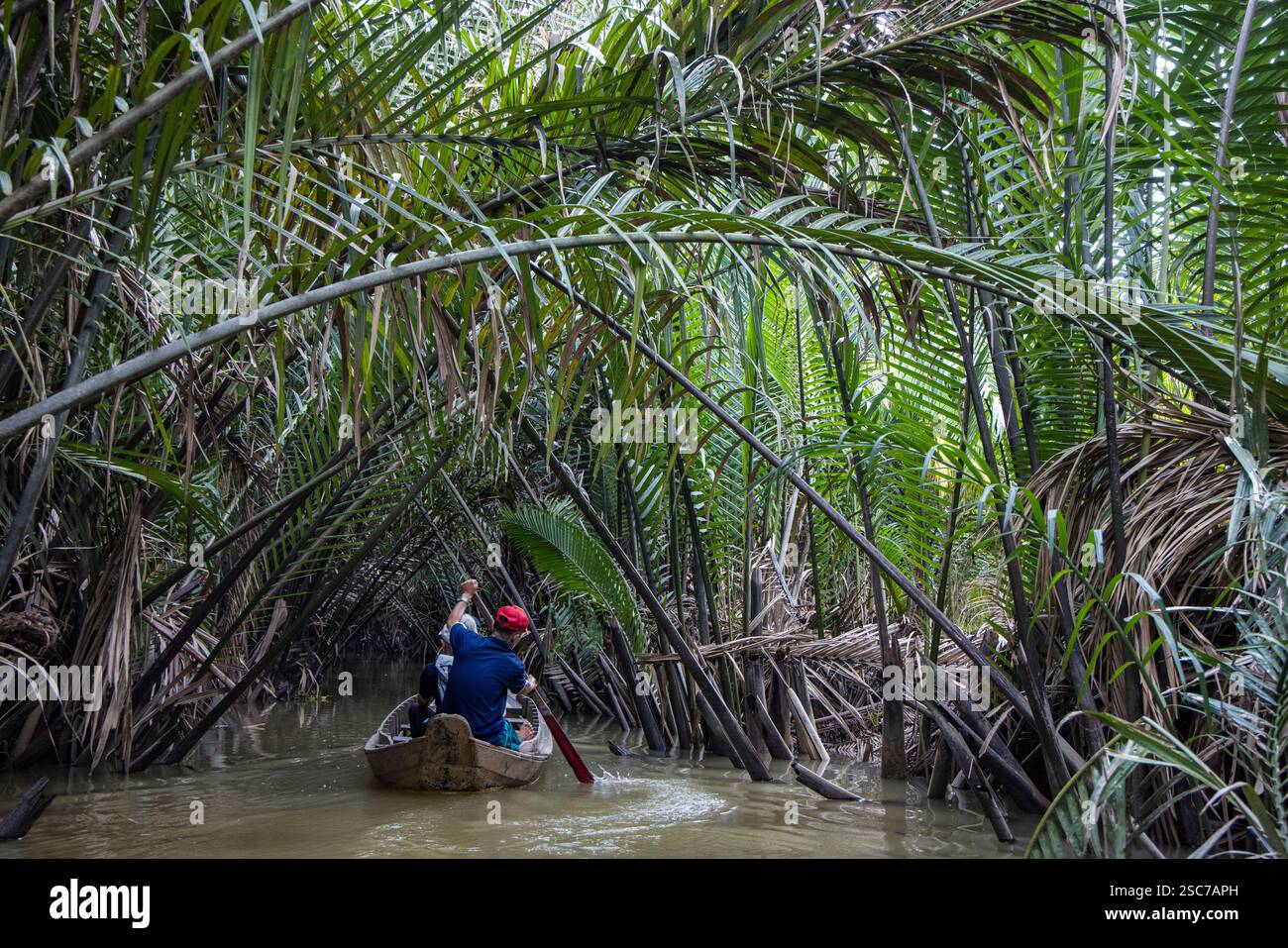 Excursion with a sampan boat through coconut trees and jungle on a ...