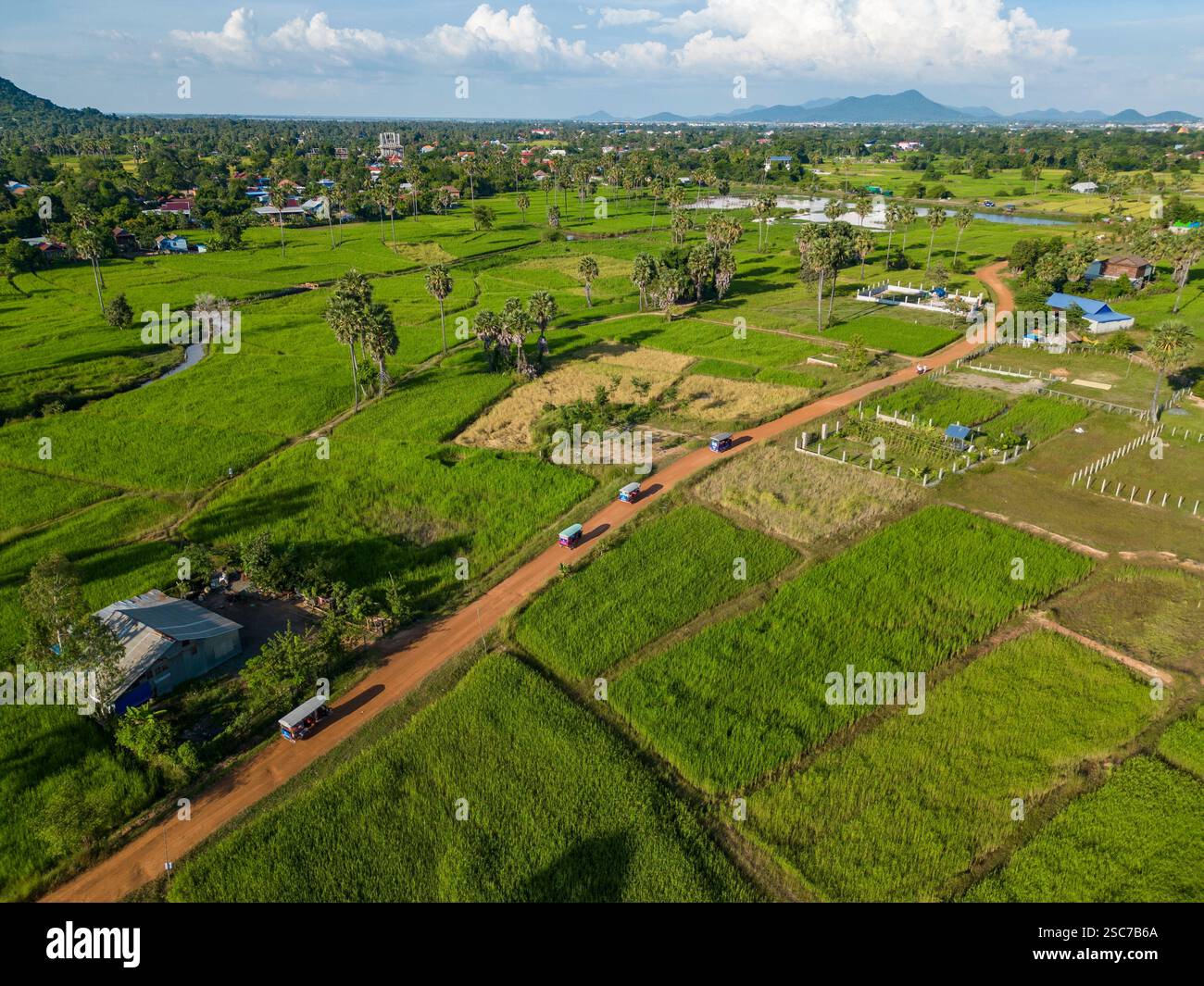 Aerial view of tuk-tuks driving on a dirt road through rice fields ...