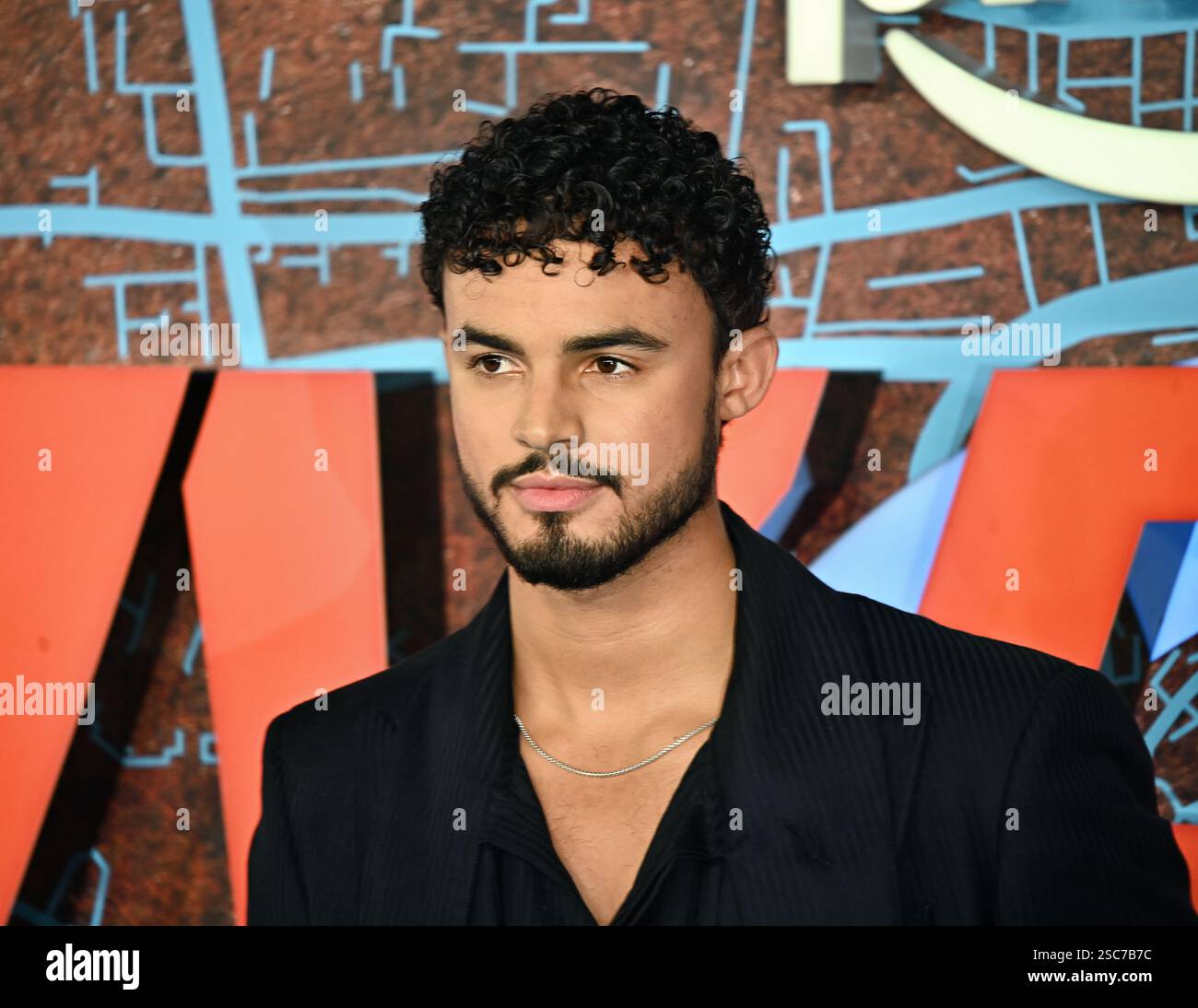 LONDON, UK. 5th Feb, 2025. Matthew Broome attends the UK Premiere - My ...