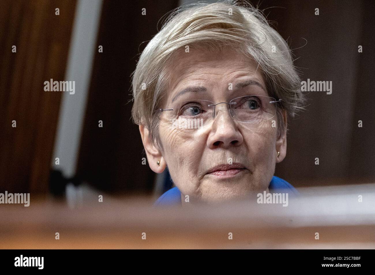 Washington Dc, New York, USA. 5th Feb, 2025. Senator Elizabeth Warren ...