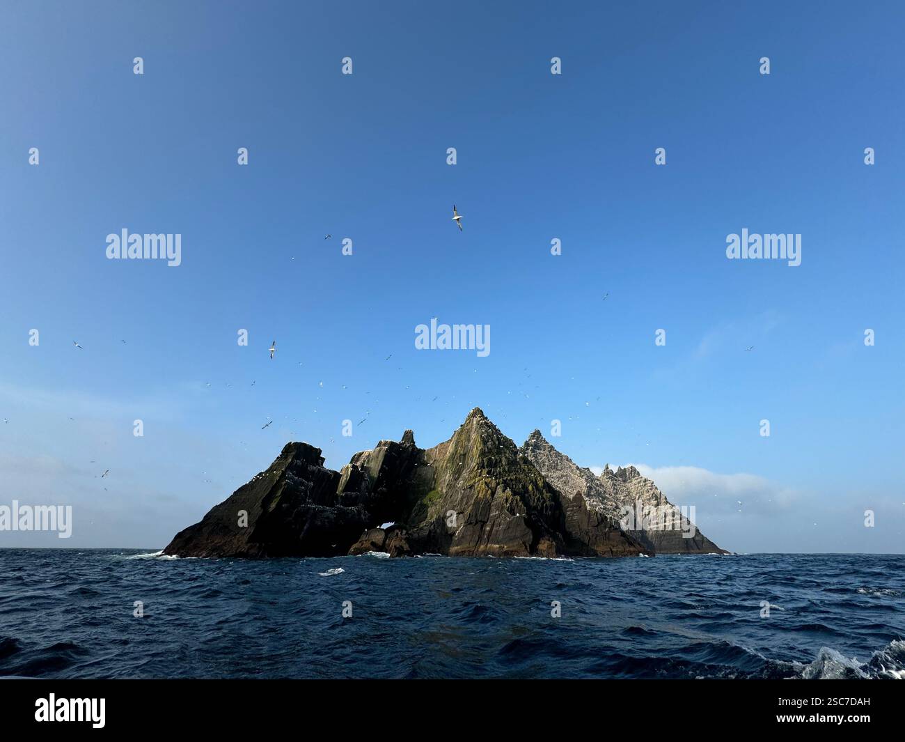 Little Skellig Island, County Kerry, Atlantic ocean, South West Ireland ...