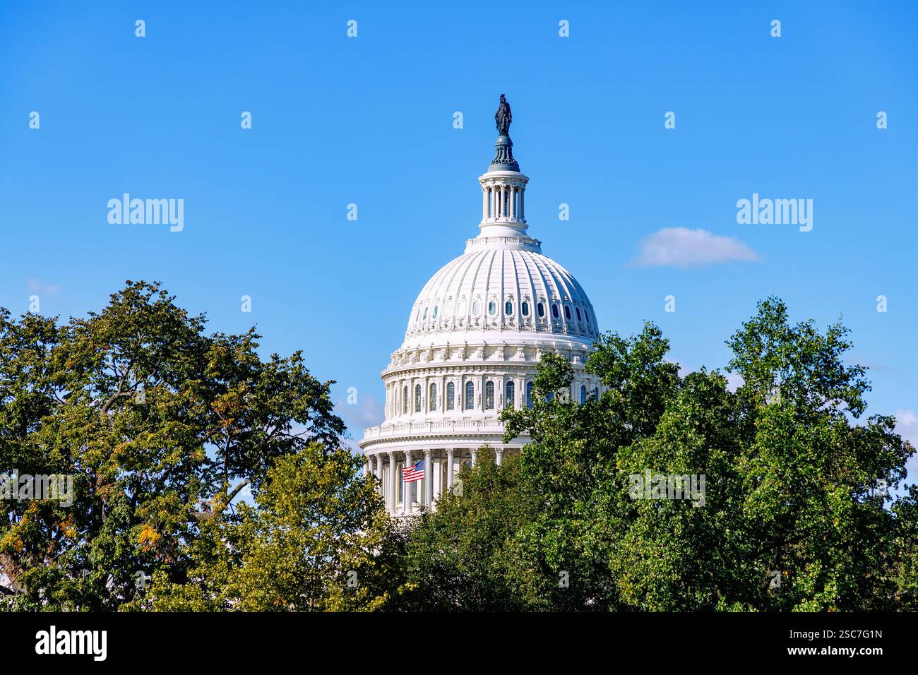 Dome of the United States Capitol (US Capitol Building, Capitol ...