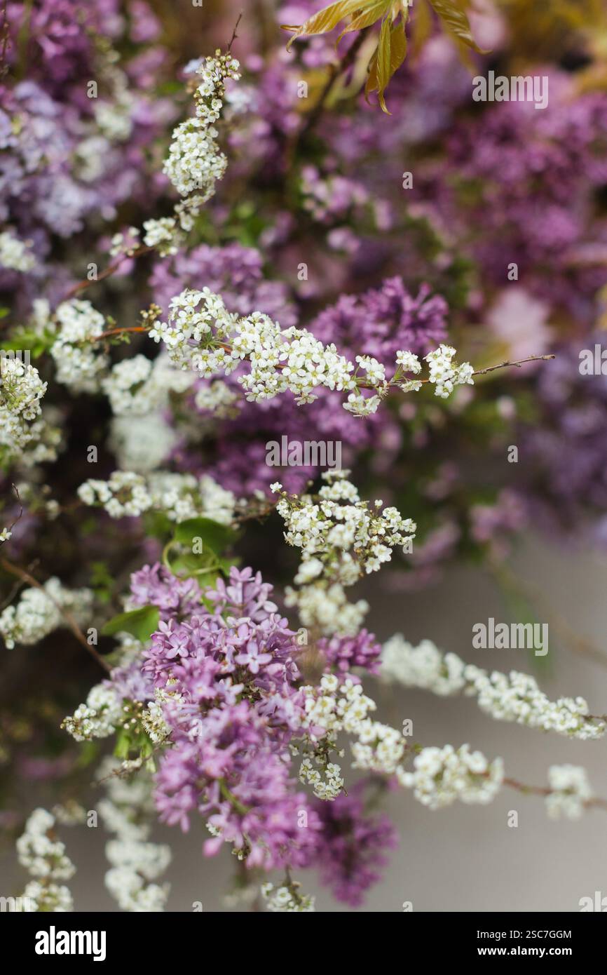 Harmonious arrangement of botanical elements hi-res stock photography ...