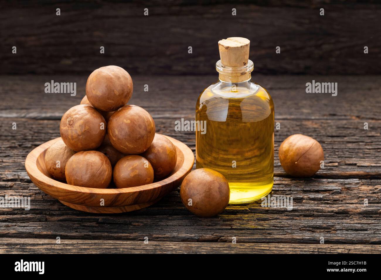 Natural oil and macadamia nuts - Macadamia integrifolia Stock Photo - Alamy