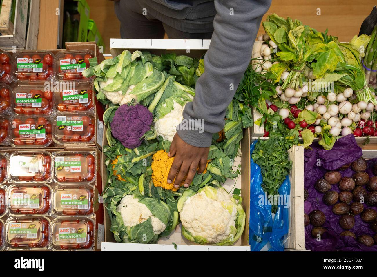 Person handling fresh produce, including caulifower, radishes, and ...