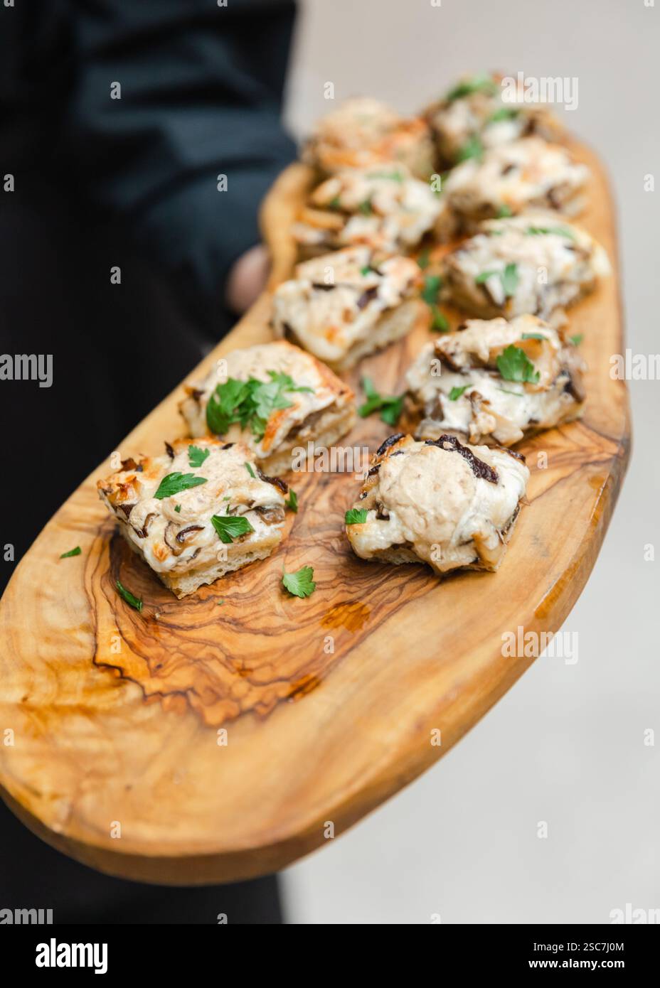 Delicious bite-sized appetizers with a blend of herbs and spices are ...