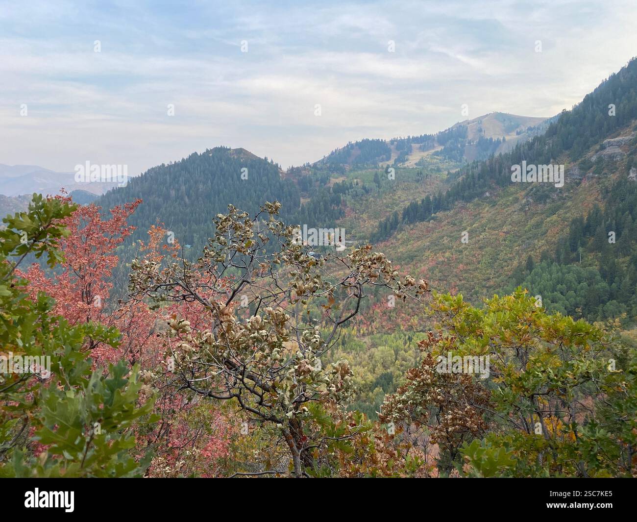 Fall Mountain Hike in Utah | Stewart Falls Stock Photo - Alamy