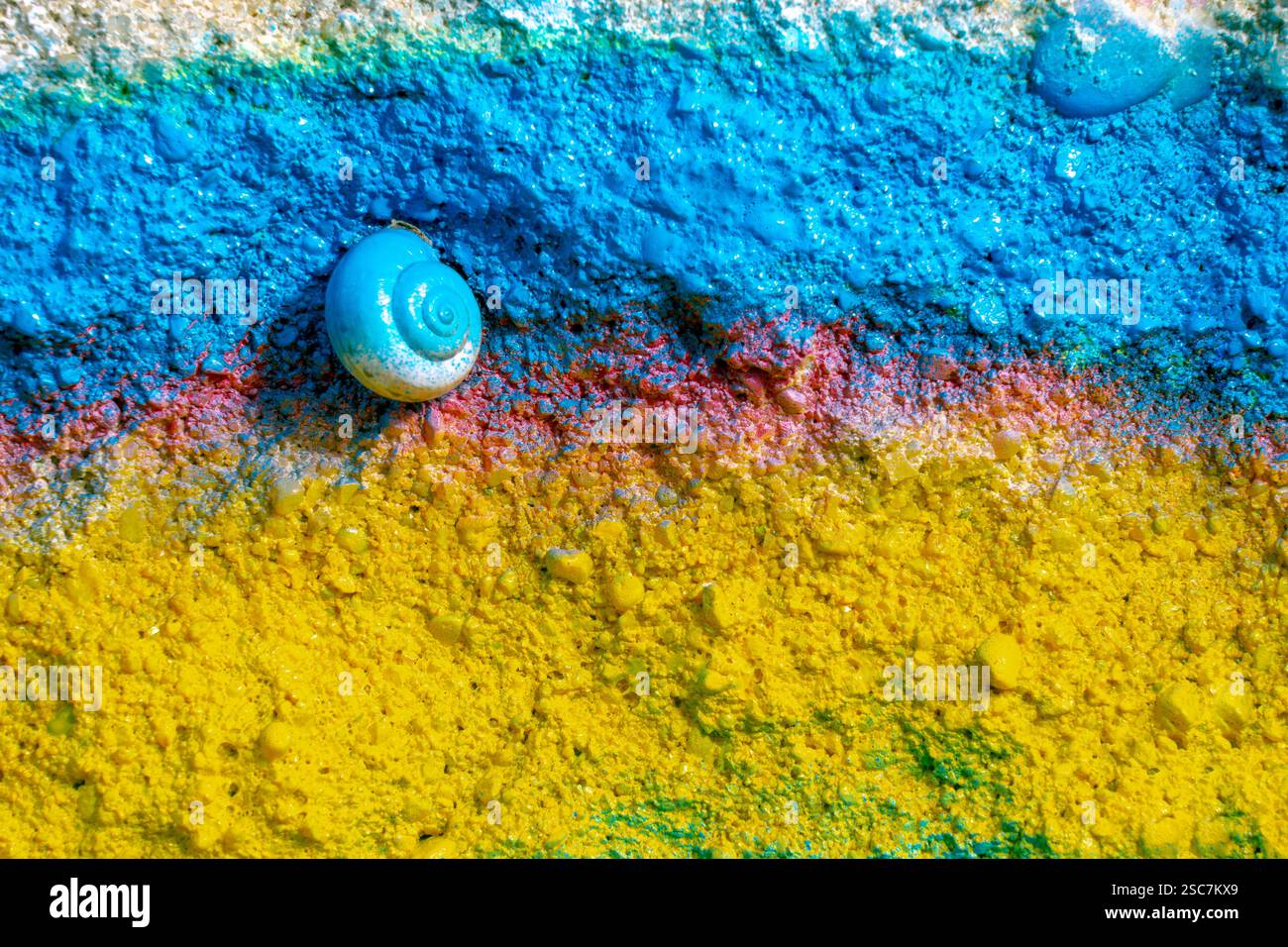 Brightly painted wall and a snail that was covered in paint during the ...