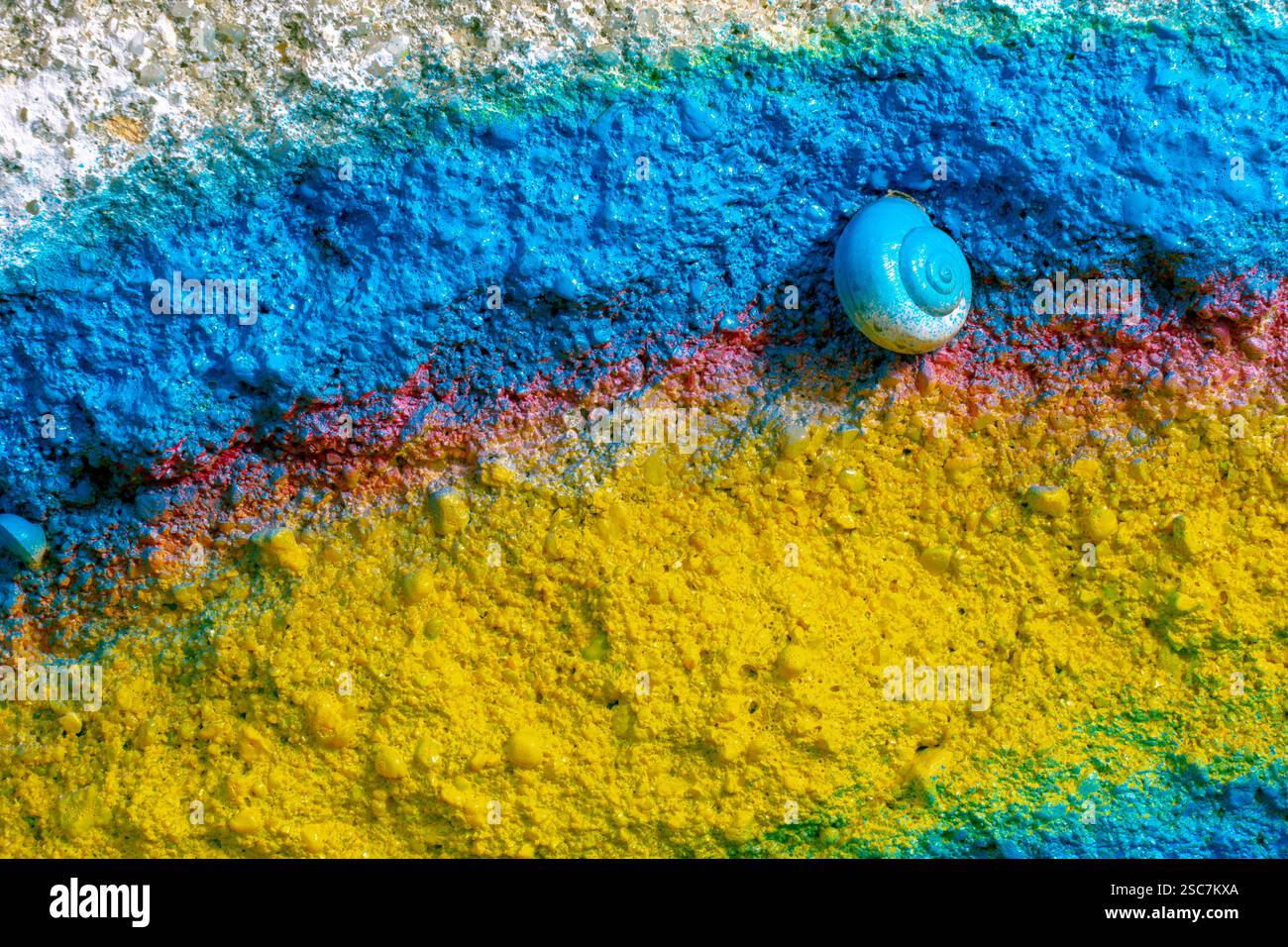 Brightly painted wall and a snail that was covered in paint during the ...