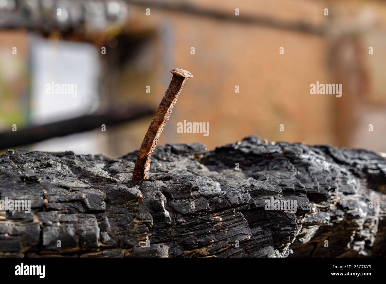 Bent and rusty nail on the left side stuck in a piece of burnt wood ...