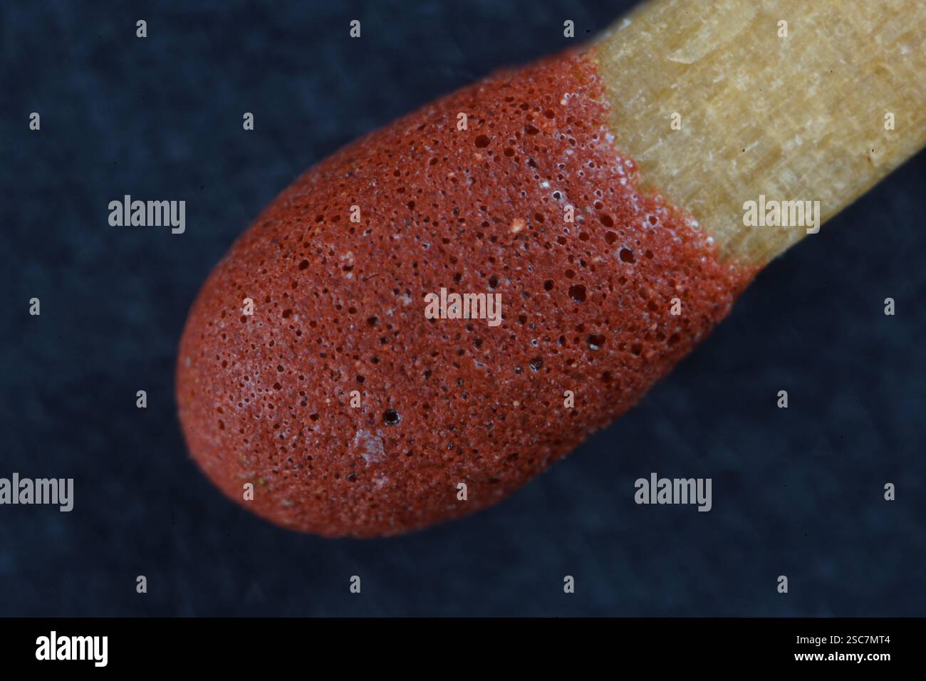 Detail powder burns red Head of a phosphoresce in blue background Stock ...