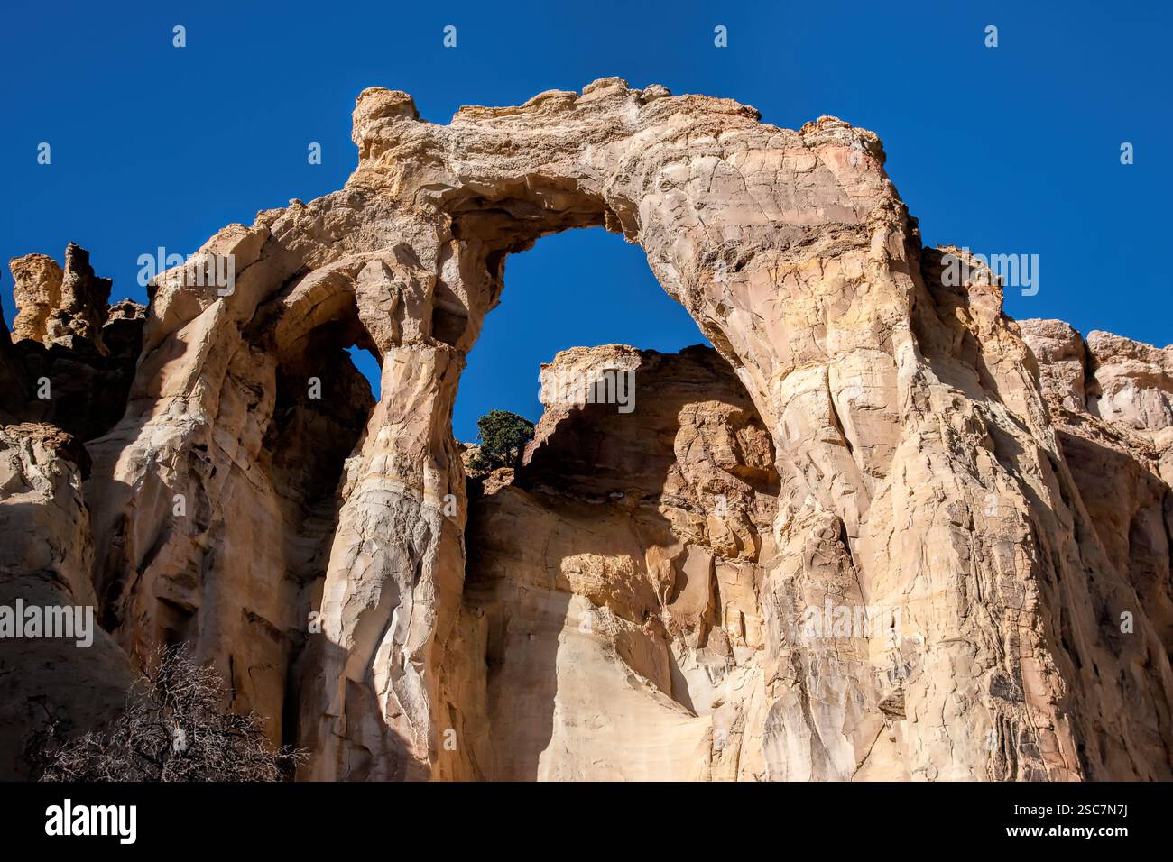 A large rock archway with a tree in the middle. The archway is open and ...