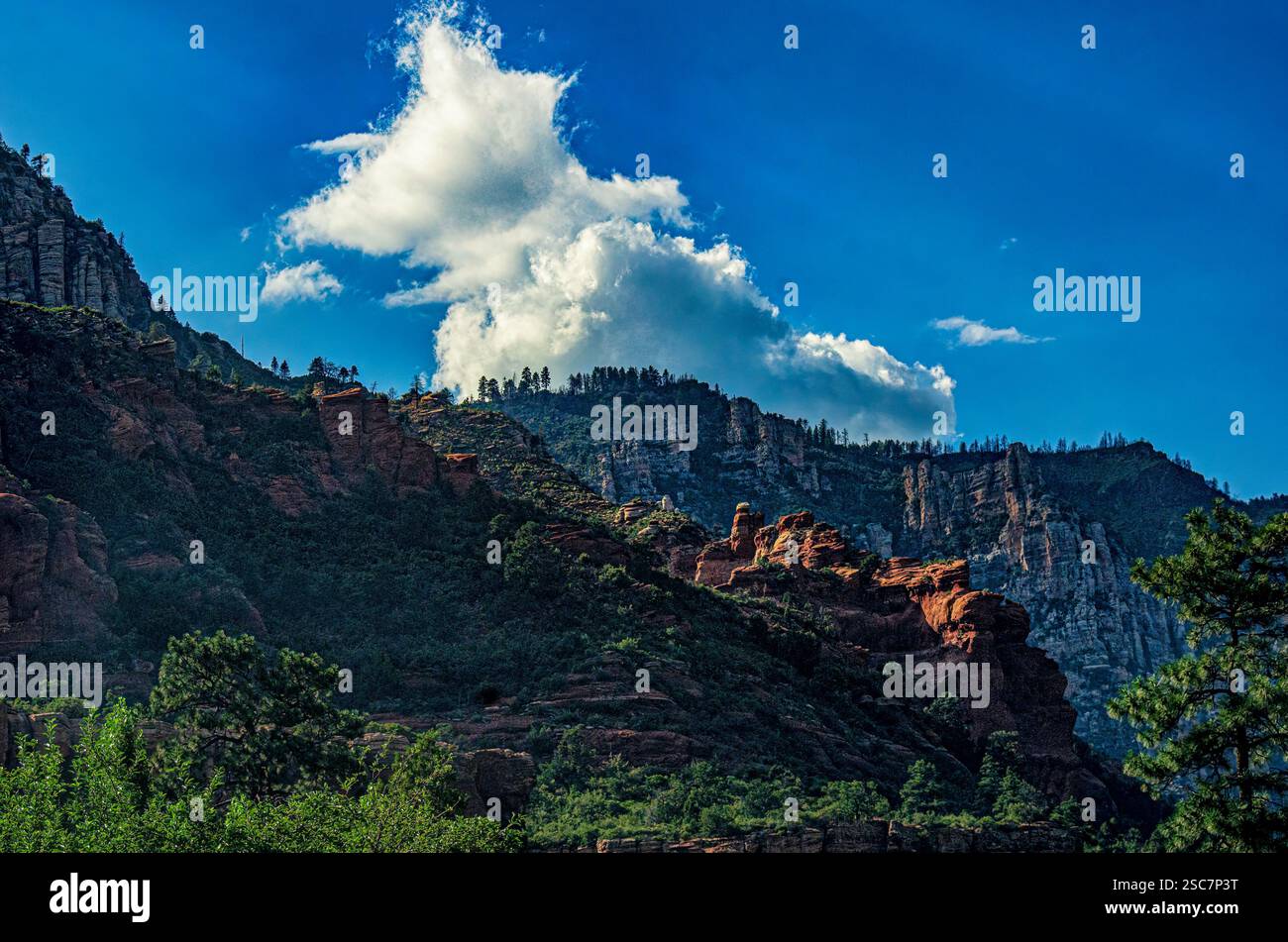 Rugged desert cliffs rise beneath a deep blue sky, with sunlight ...