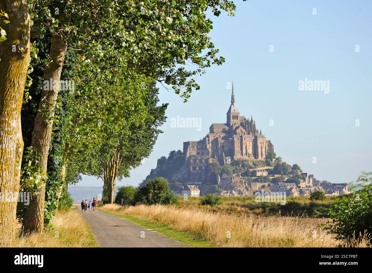 path in polders of the Mont-Saint-Michel bay, Manche department ...