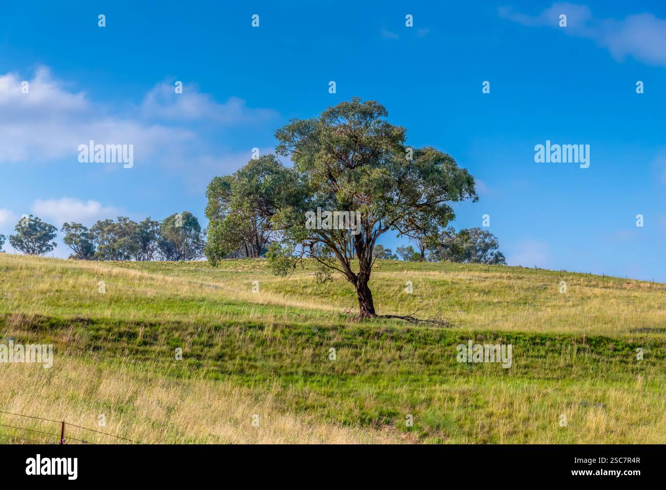 Sofala is a small quiet little village in the Central West of NSW ...
