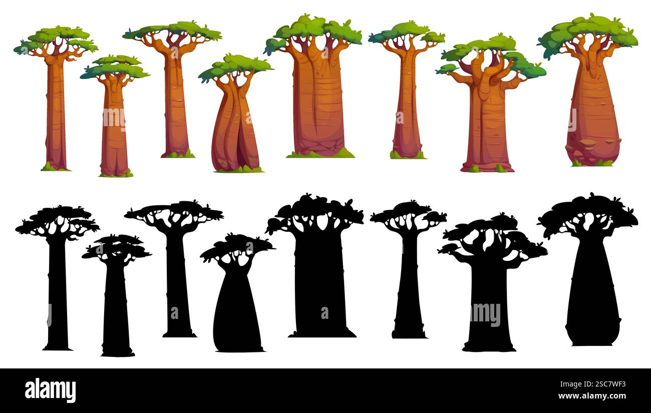 Cartoon baobab trees and silhouettes of Madagascar forest, Africa ...