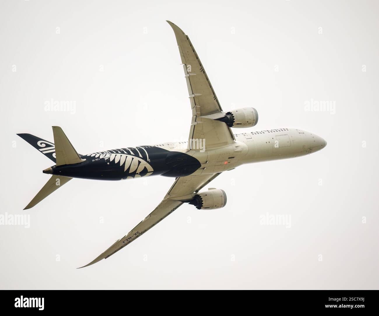 Nzj logo hi-res stock photography and images - Alamy