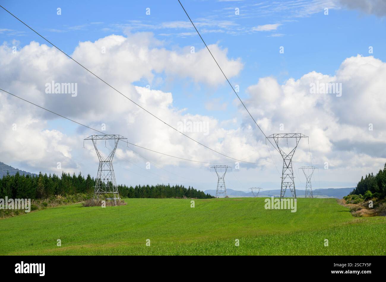 Power pylons and power lines on green meadow. North Island. New Zealand ...