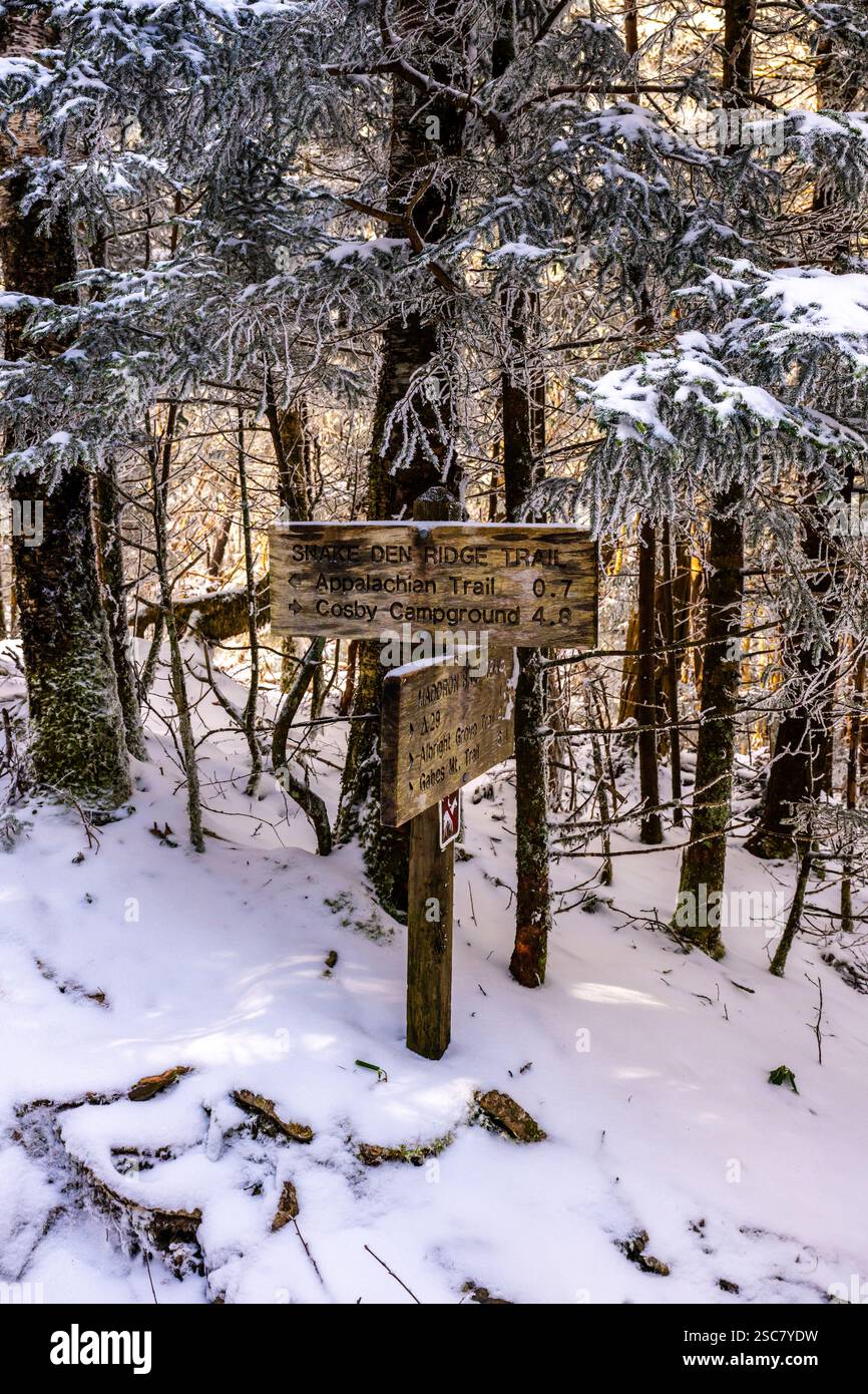 Intersection of Snake Den Ridge and Maddron Bald Trail in the Smokies ...