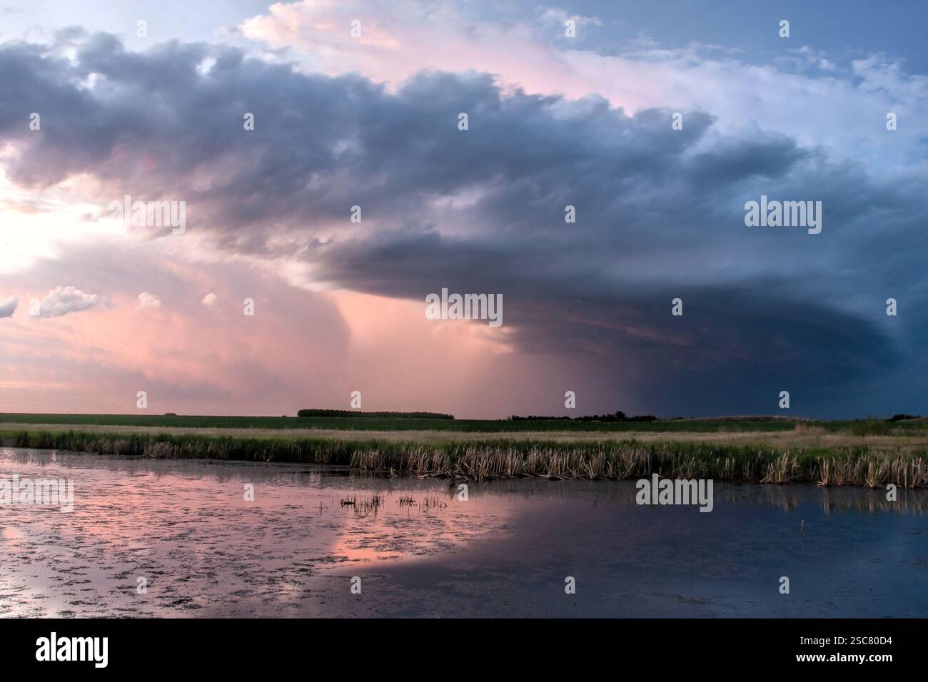 The sky is filled with a large, dark cloud that is looming over the ...