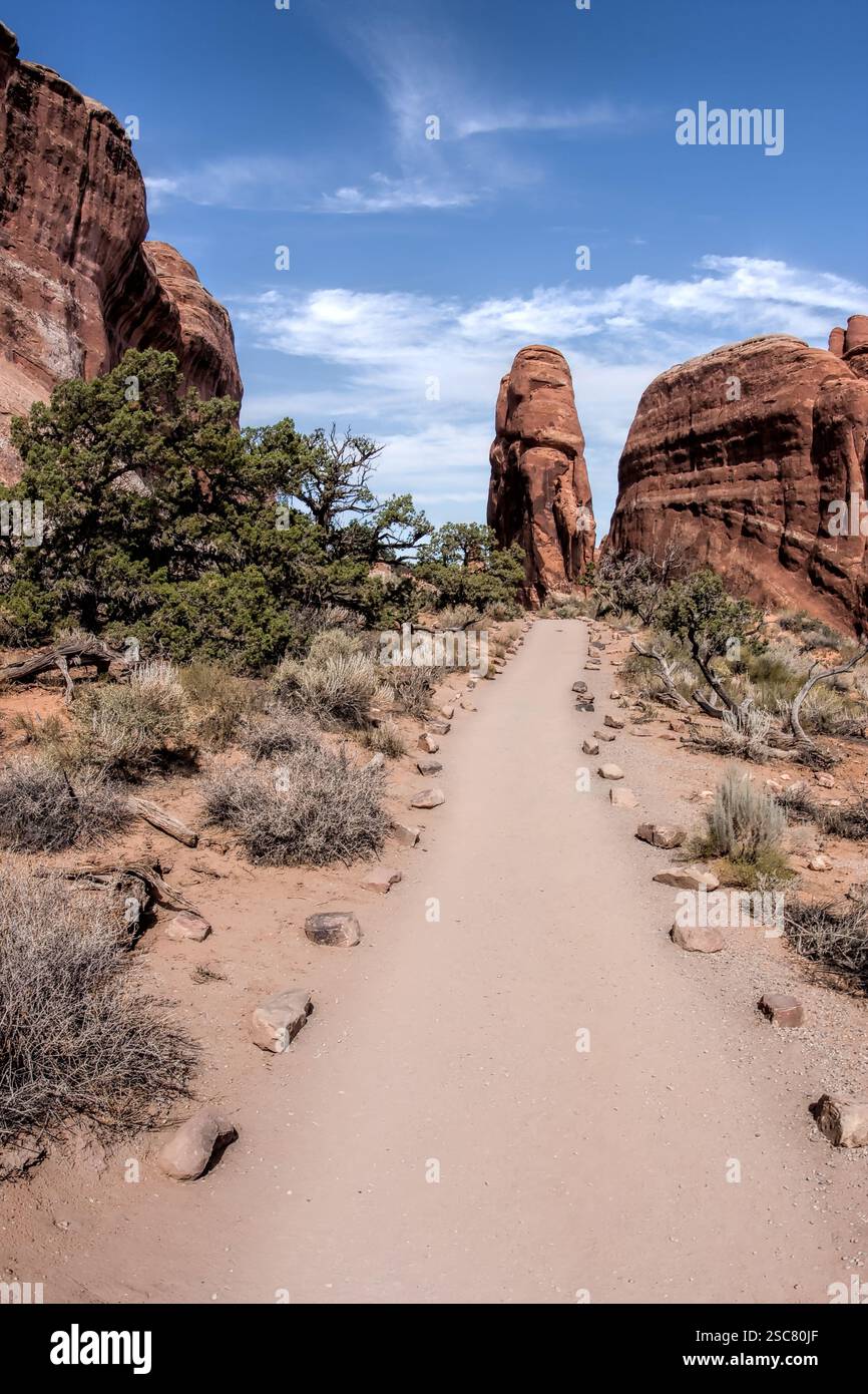 A path is shown in the desert with a tree on the left side. The path is ...