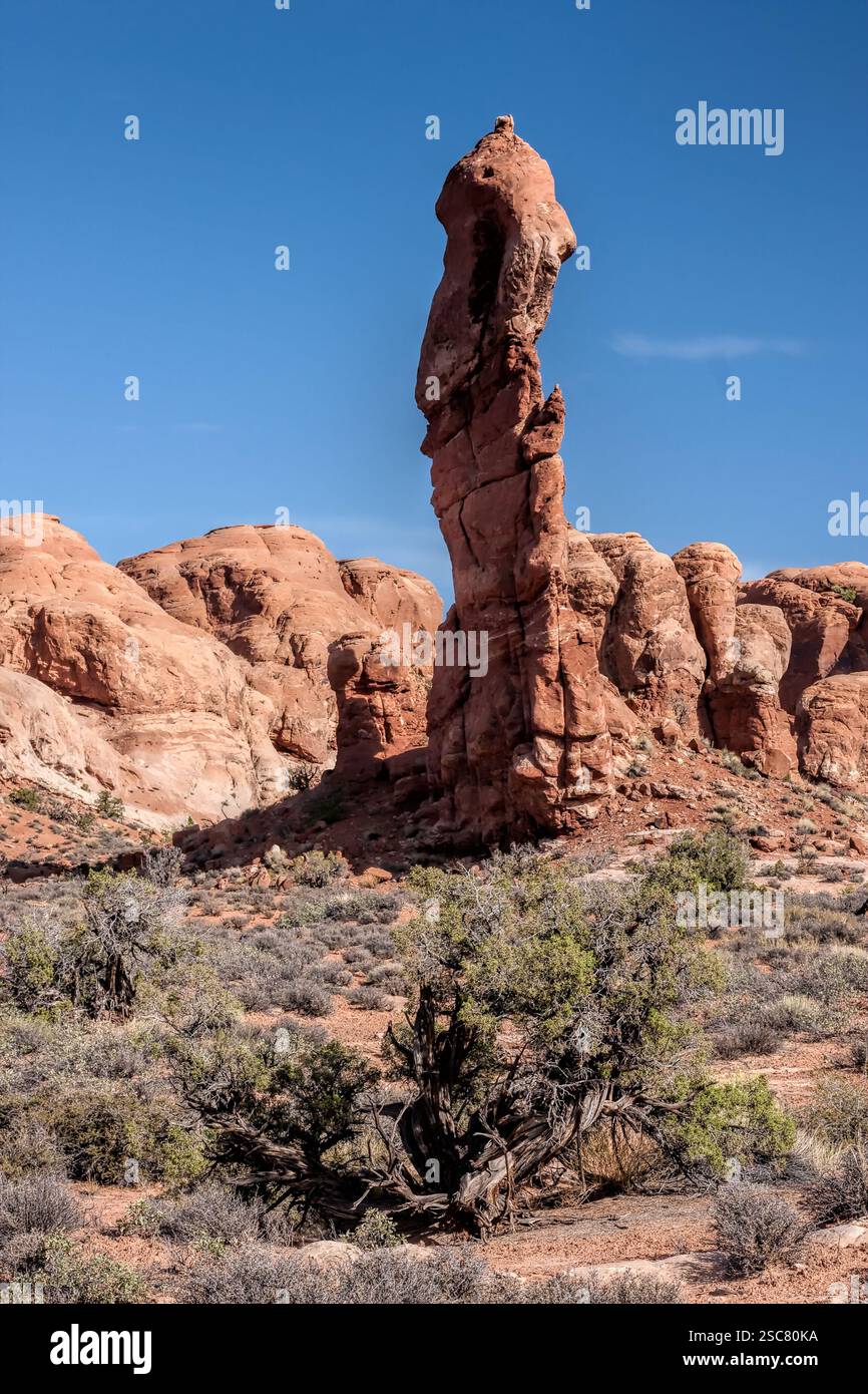 A tall rock formation in the desert. The rock is brown and has a green ...