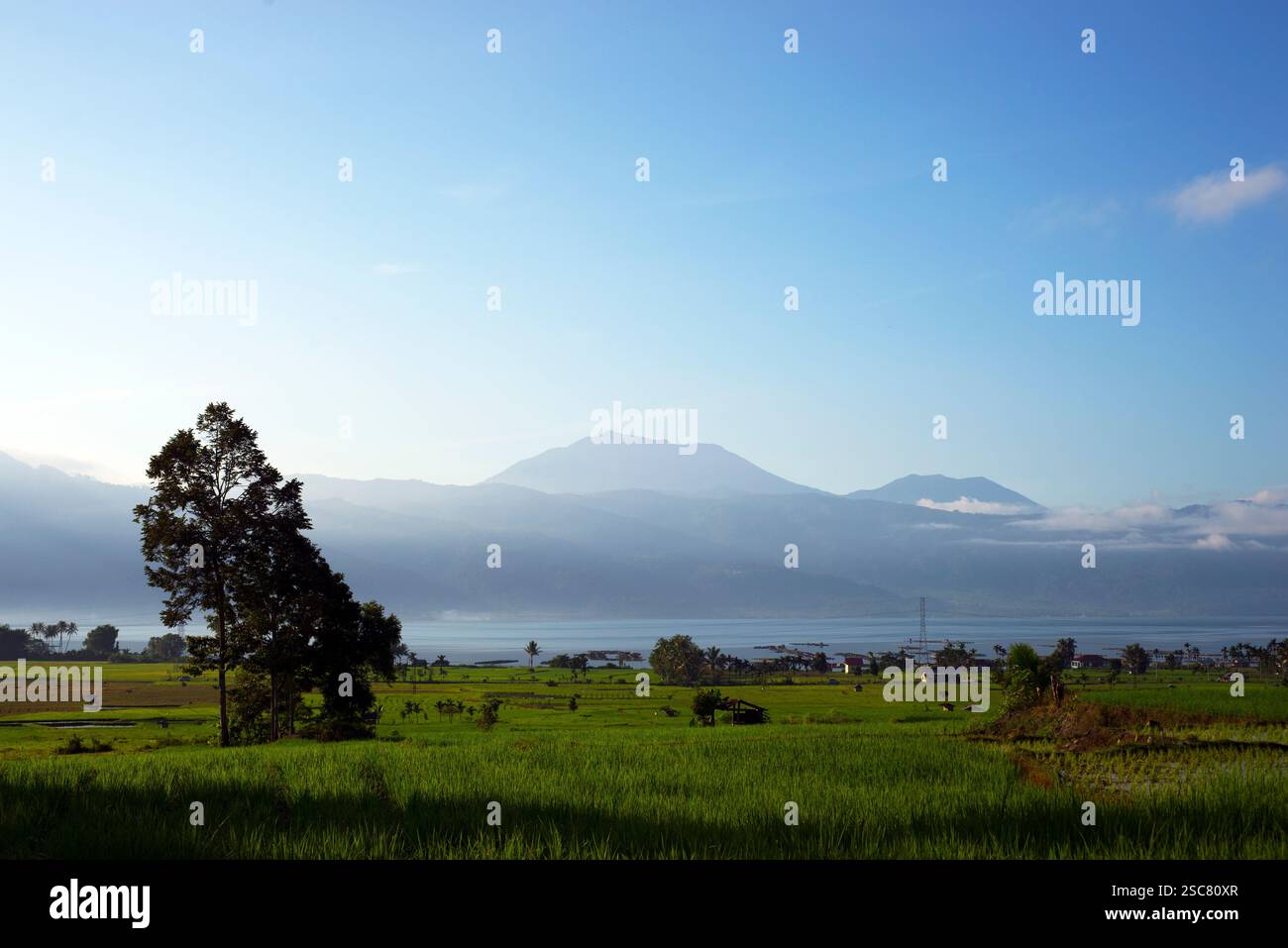 Aerial view foggy rice field hi-res stock photography and images - Alamy