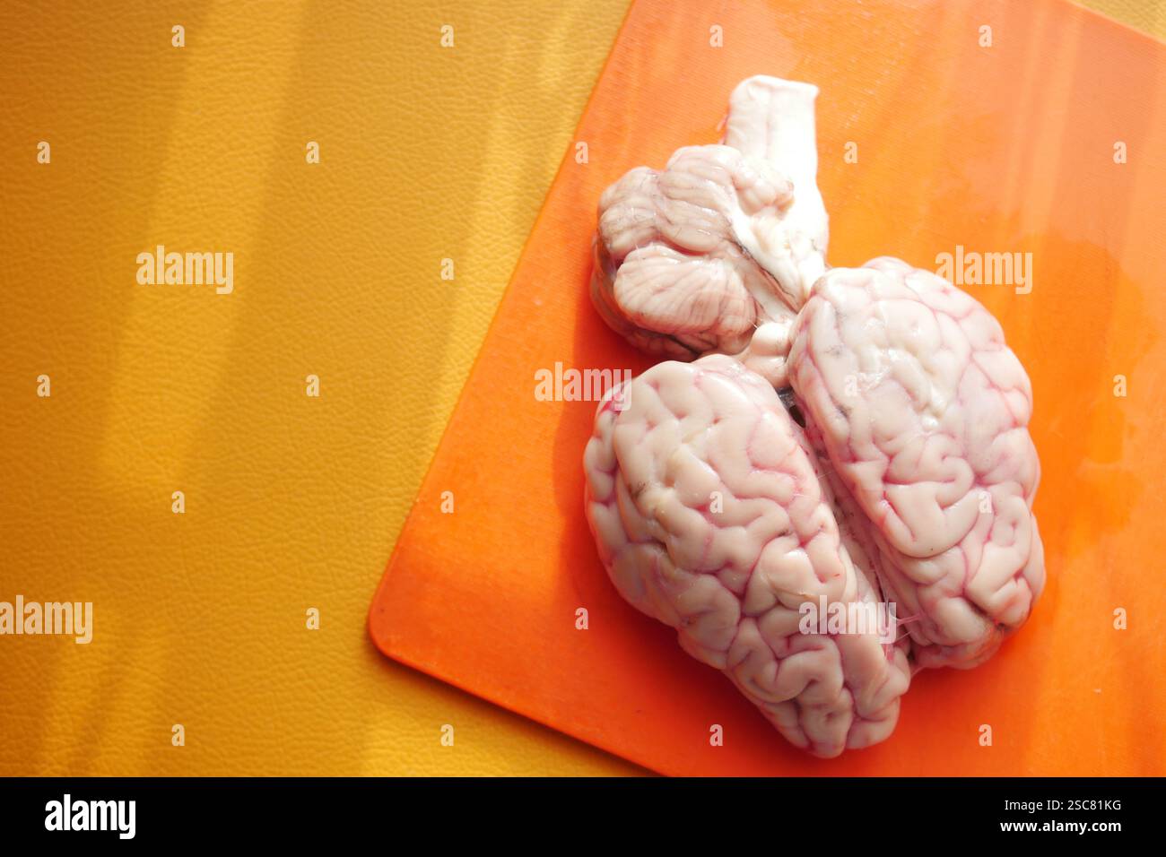 mutton brain on a chopping board Stock Photo - Alamy