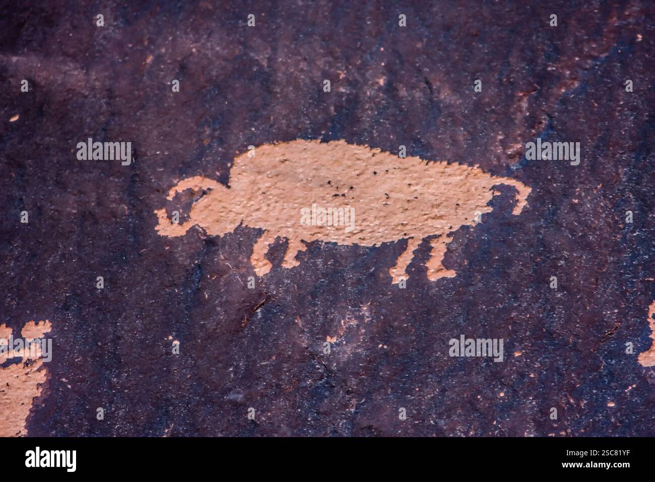 A drawing of a buffalo is on a rock. The buffalo is drawn in brown and ...