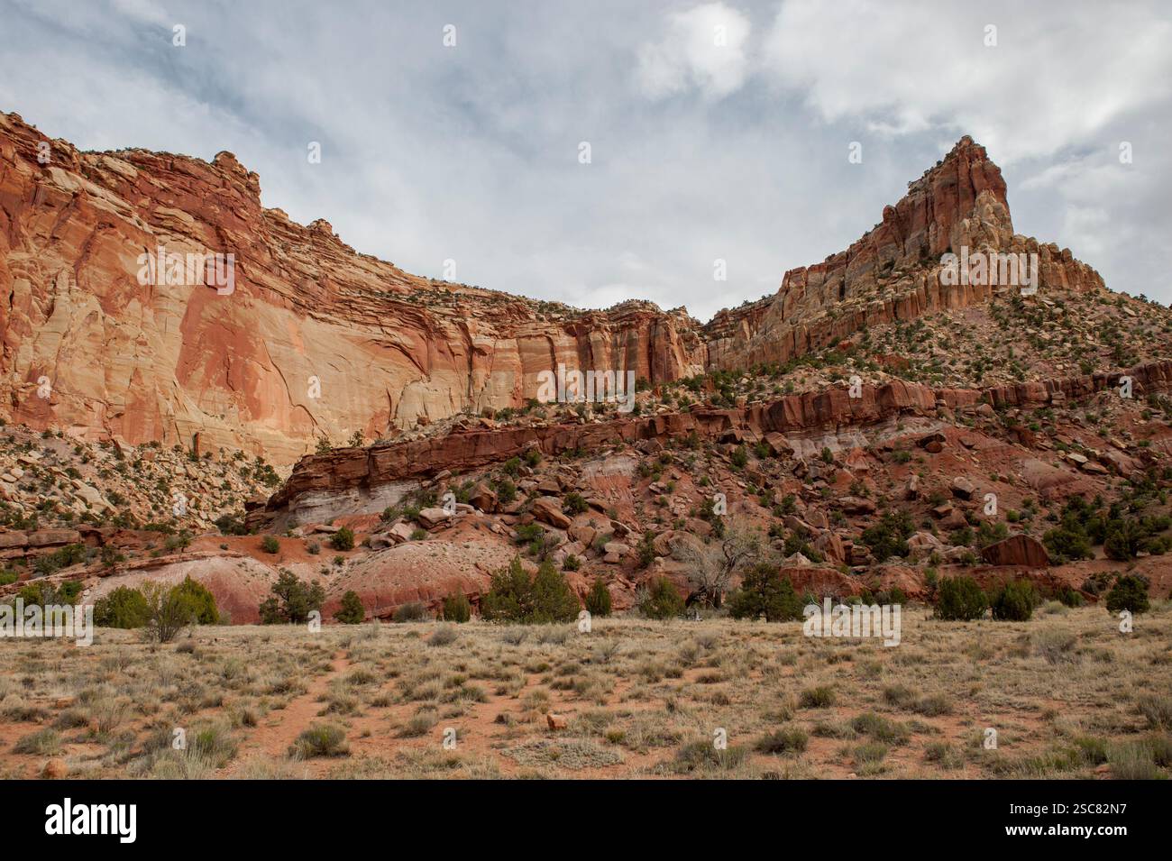 Rock from the Wingate (upper) and Chinle (lower) formations in the ...
