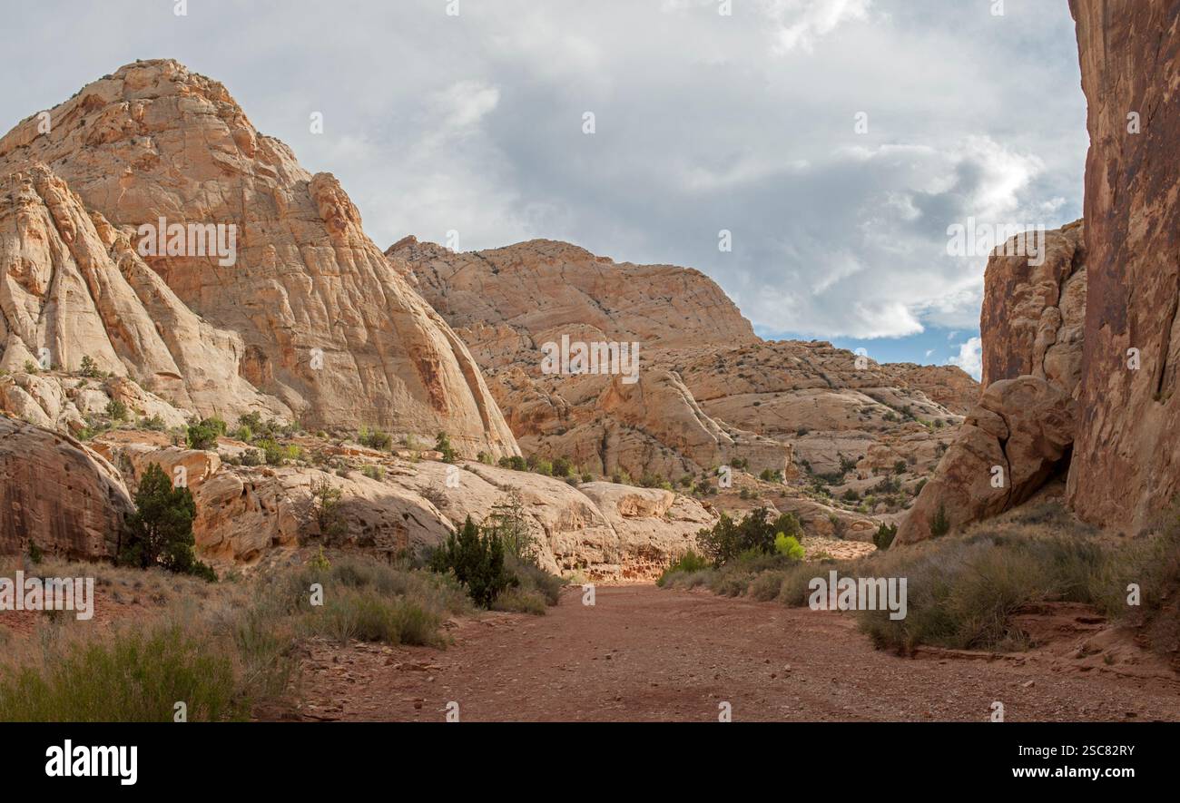 Mounds of pinkish Navajo sandstone in Capitol Reef National Park's ...