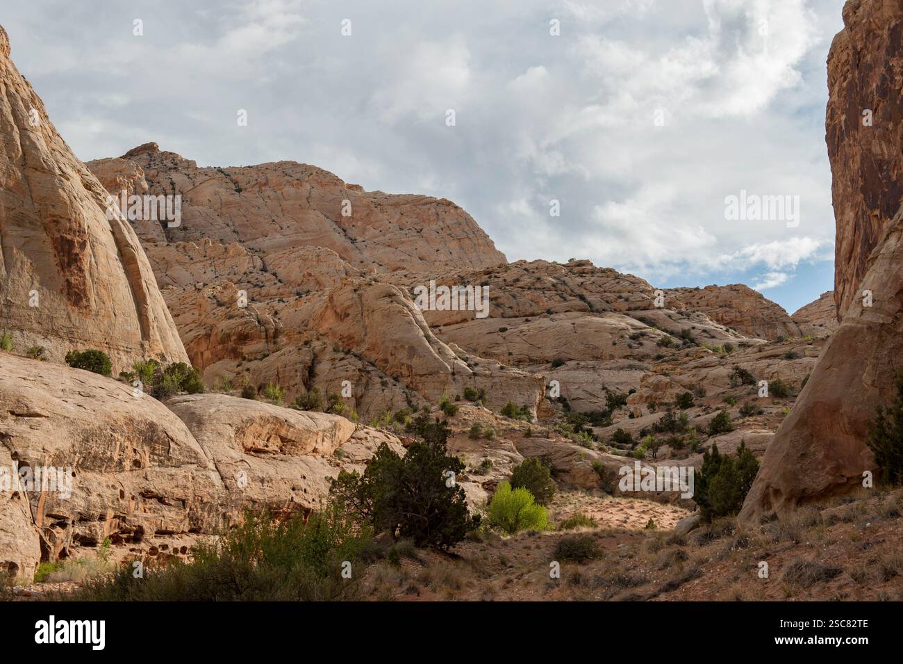 Navajo Sandstone in the Grand Wash of Capitol Reef National Park, Utah ...