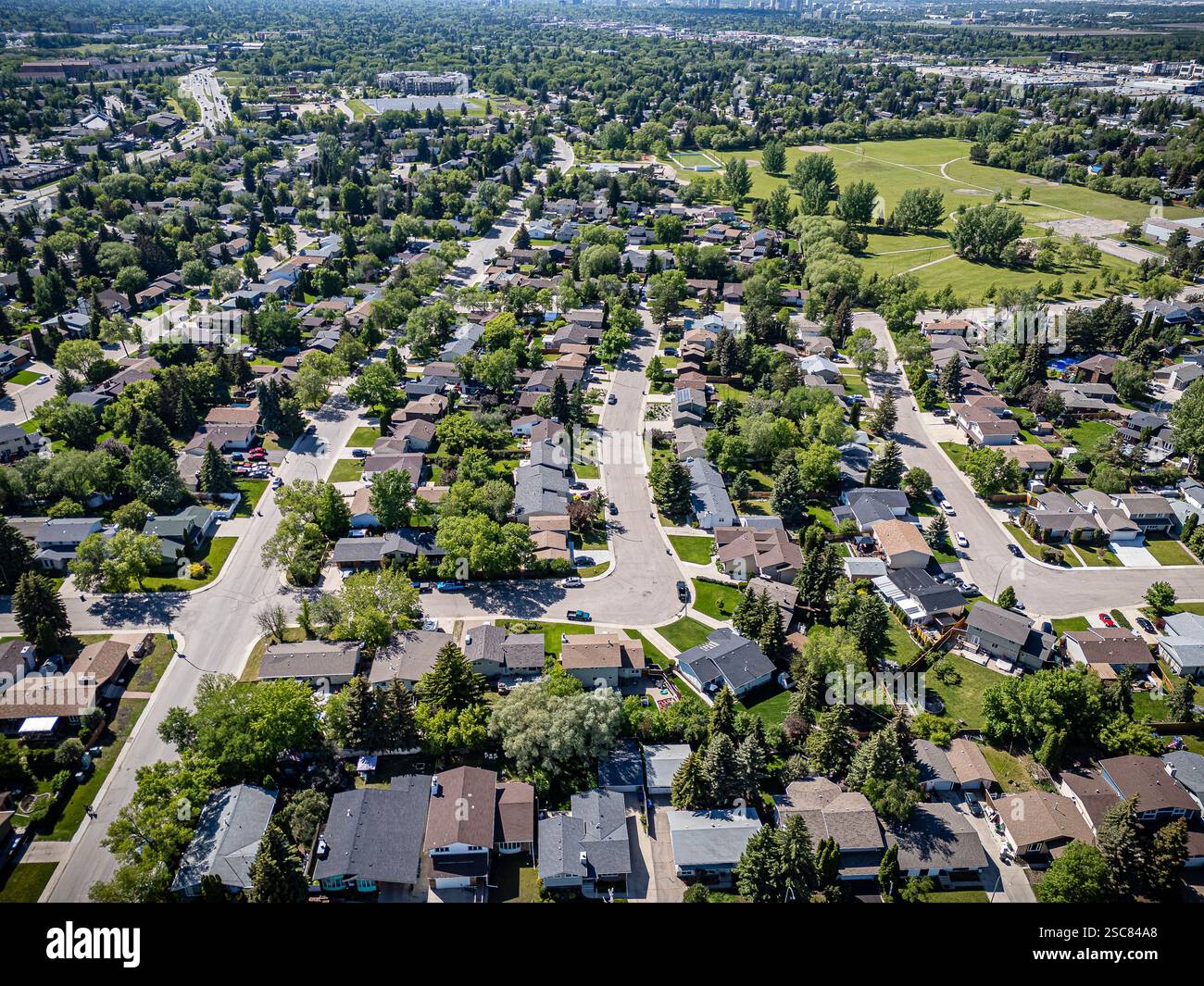 Suburb town landscape people walking on district hi-res stock ...