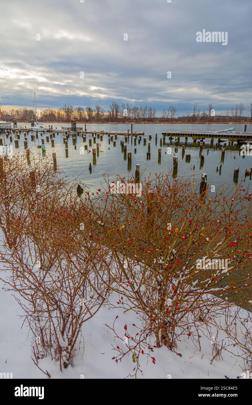 The first snowfall of 2025 in Steveston B.C Canada Stock Photo - Alamy