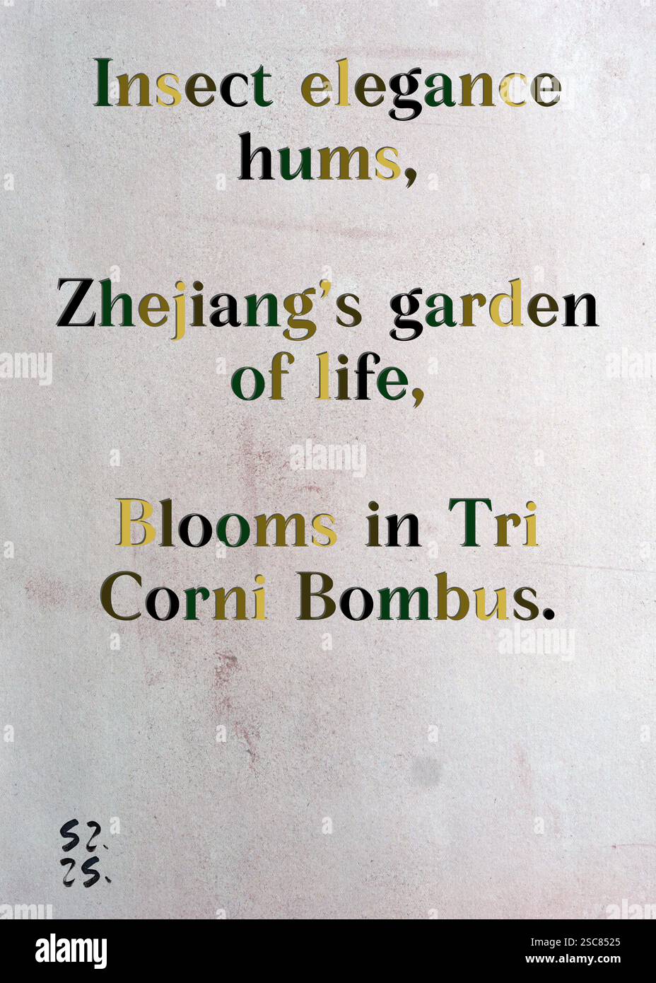Insect elegance hums, Zhejiang's garden of life, Blooms in Tri Corni ...