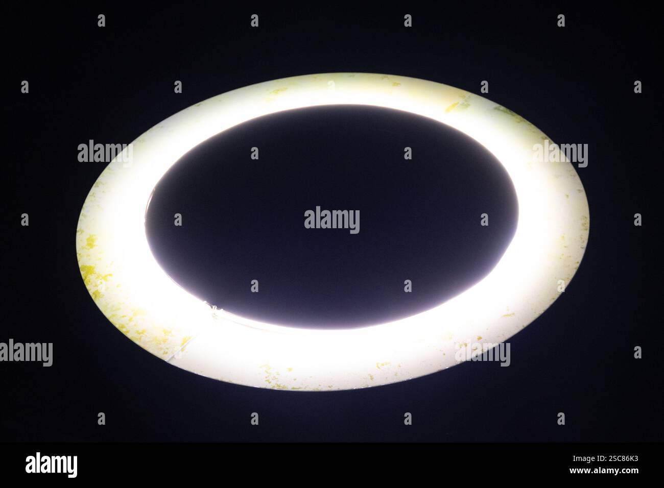 Líio visibile (The visible self) by Nicoletta Freti at Skuespilhuset ...