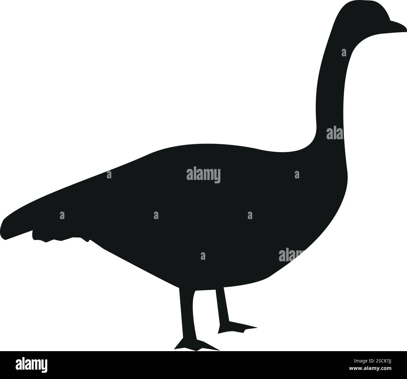 Wild goose standing vector. Bird signs and symbols Stock Vector Image ...