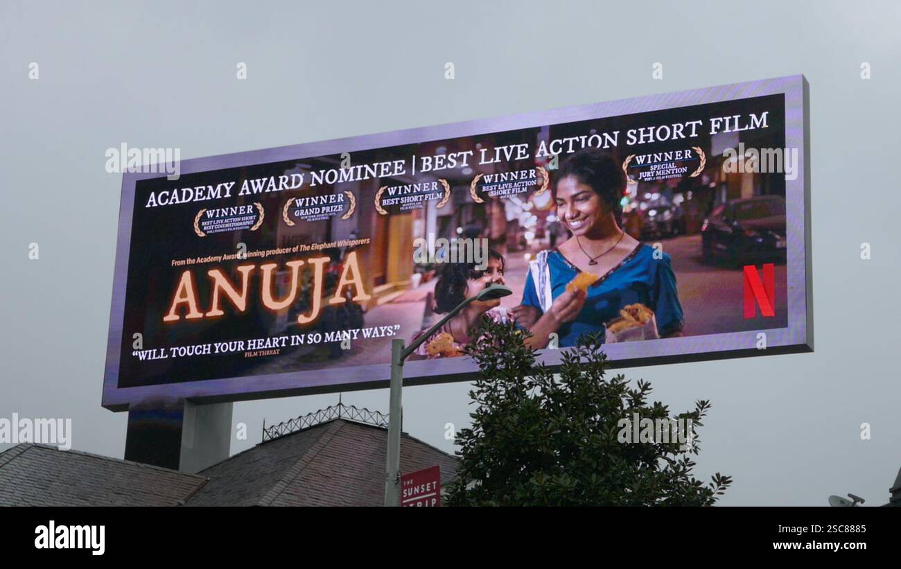Los Angeles, California, USA 5th February 2025 Anuja Netflix Billboard on Sunset Blvd on ...
