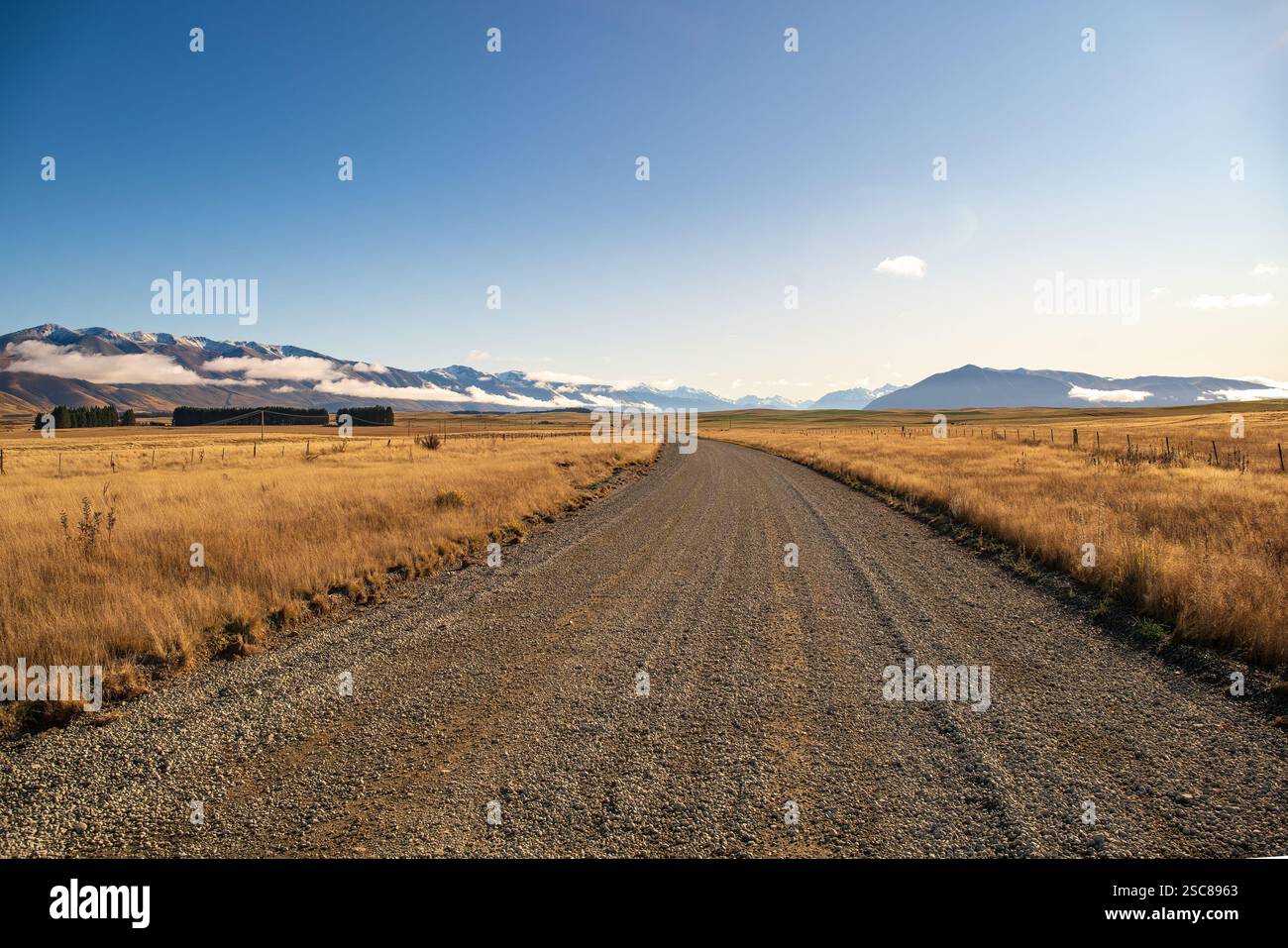 Agricultural pasture land in the high country of the south island of NZ ...