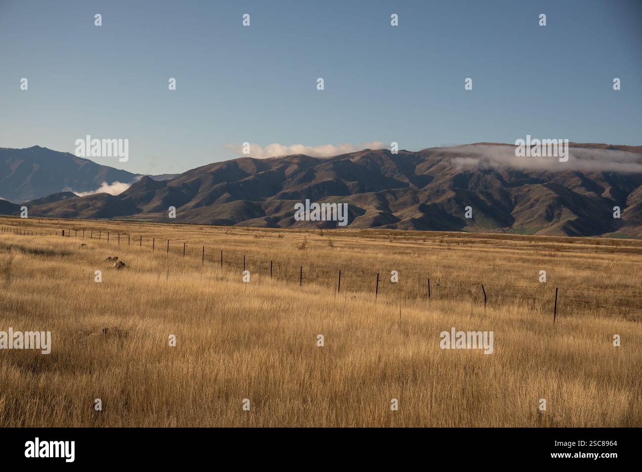 Agricultural pasture land in the high country of the south island of NZ ...
