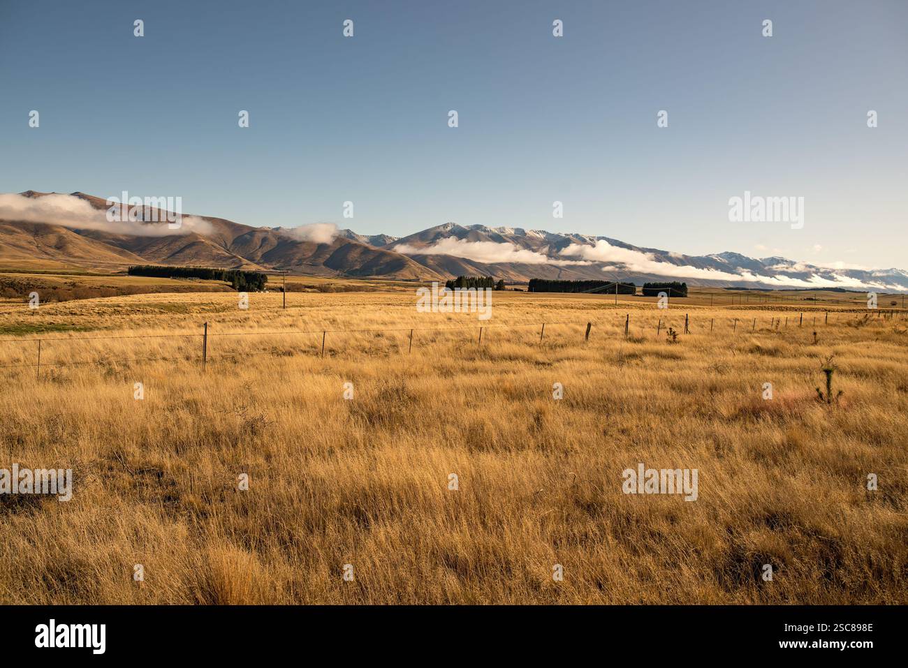Agricultural pasture land in the high country of the south island of NZ ...