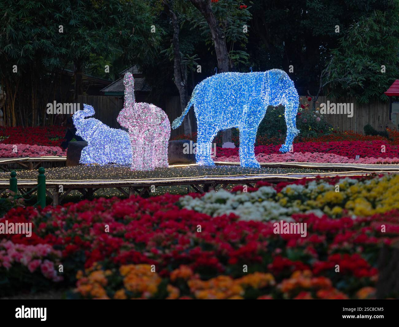 CHIANG MAI, THAILAND - FEBRUARY 5, 2025 :The Flower Festival Grounds at ...