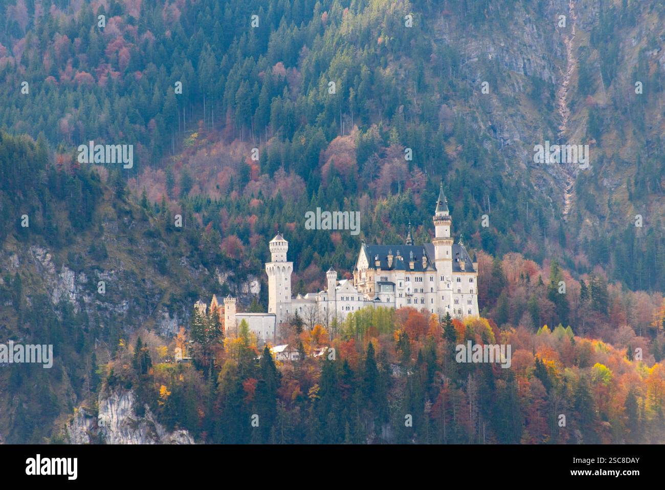 Close up view neuschwanstein castle hi-res stock photography and images ...