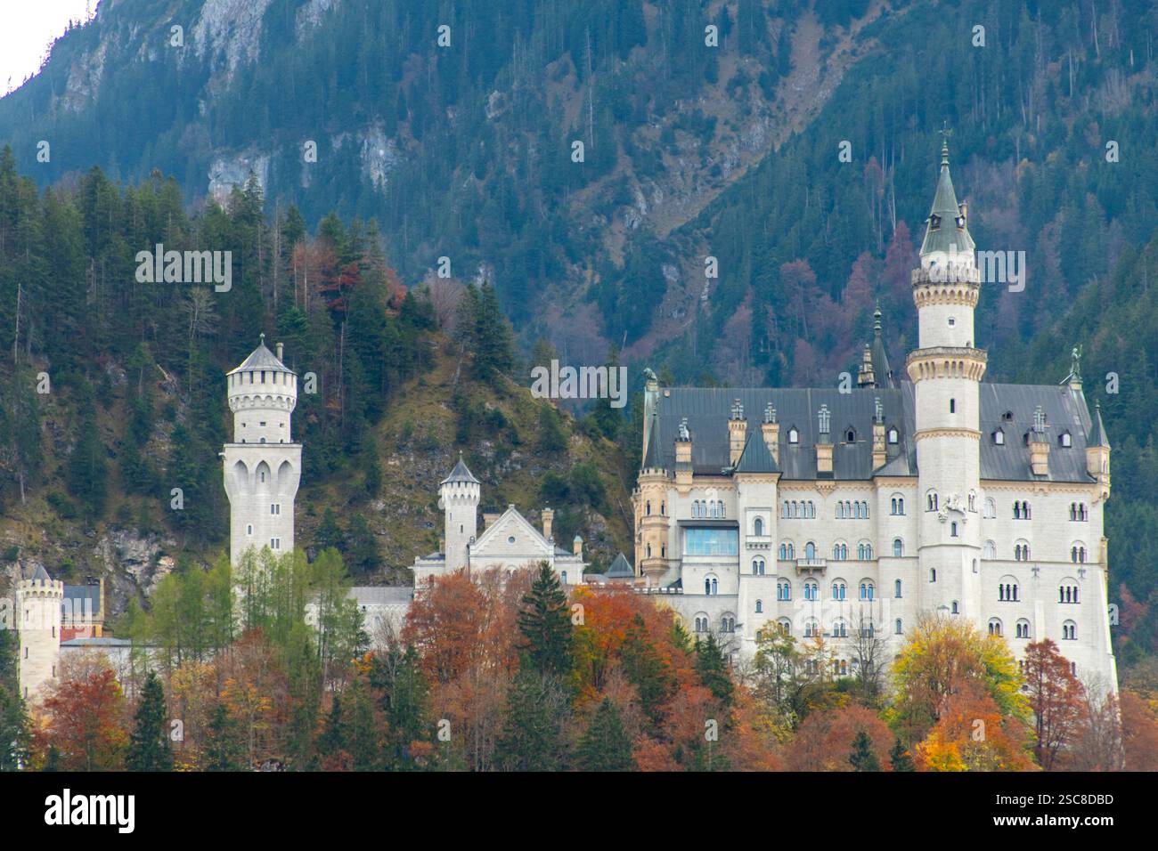 Neuschwanstein Castle in Bavaria - Germany Stock Photo - Alamy